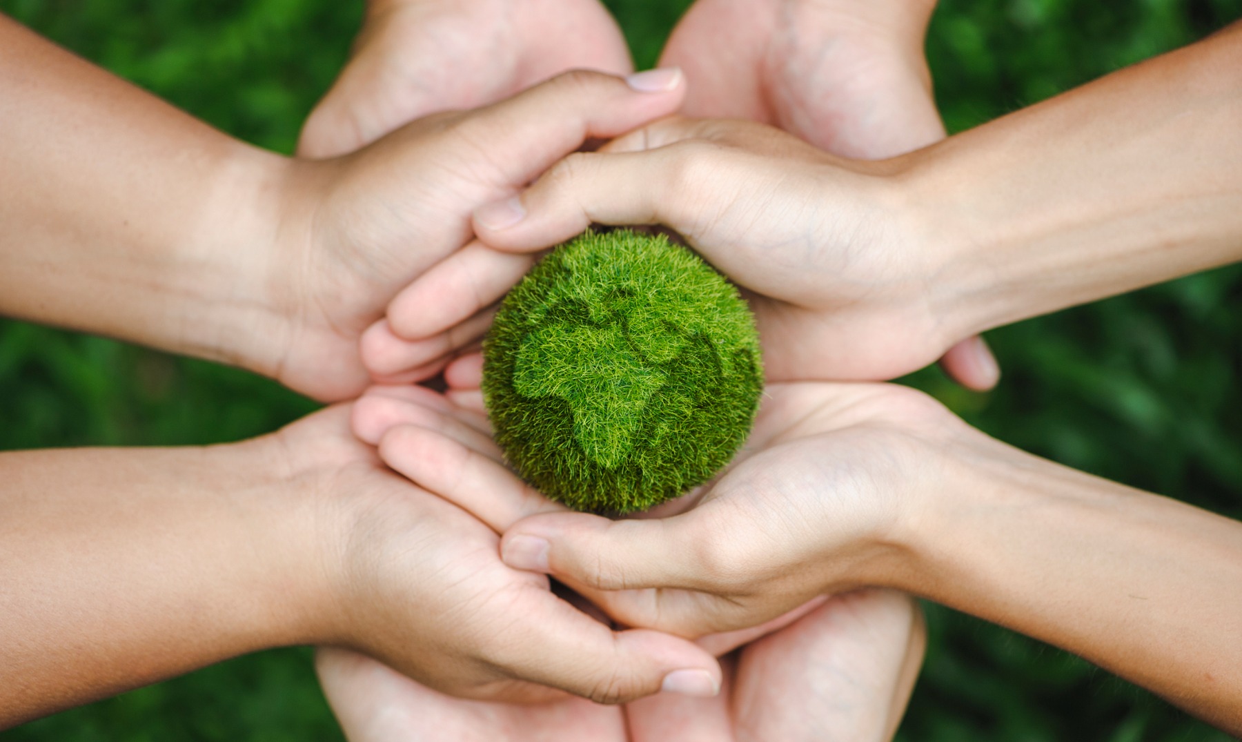Qué Es Sostenible en Ecología: Definiciones y Principios para un Futuro ...